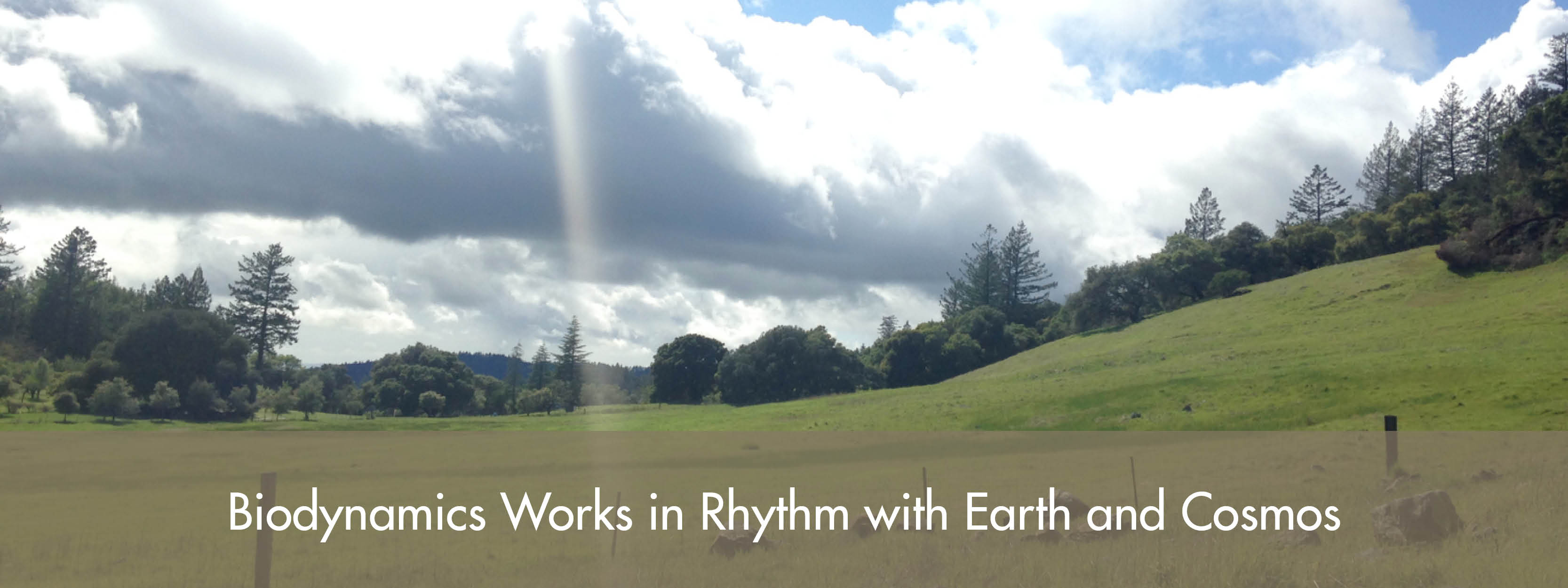 What Is Biodynamics? | Biodynamic Association